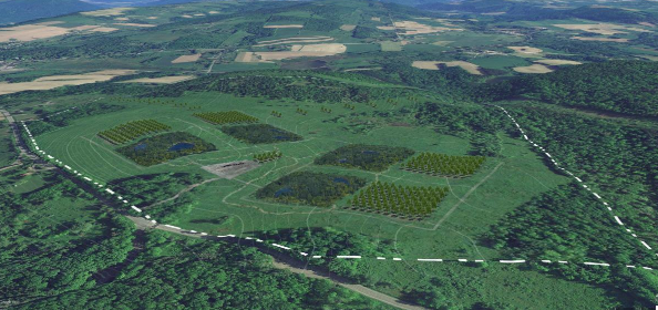 Restoration forest project will showcase GMO chestnut trees - Alliance ...