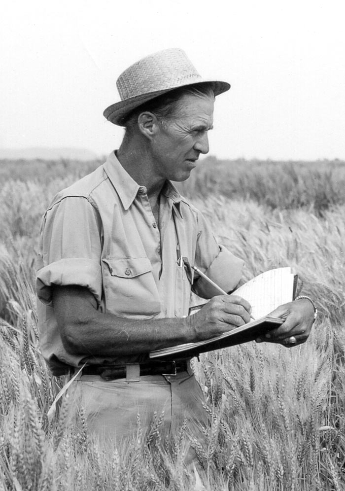 Borlaug’s dream is being realized - Alliance for Science