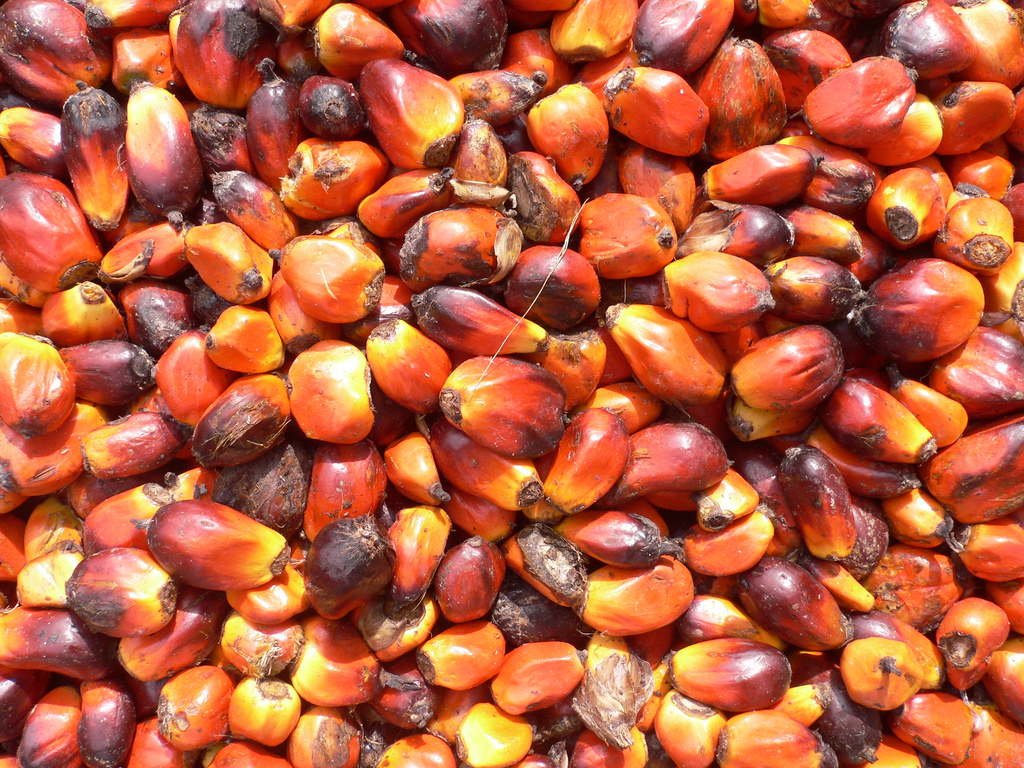 Ghana urged to pass law to encourage improved seed breeding - Alliance ...