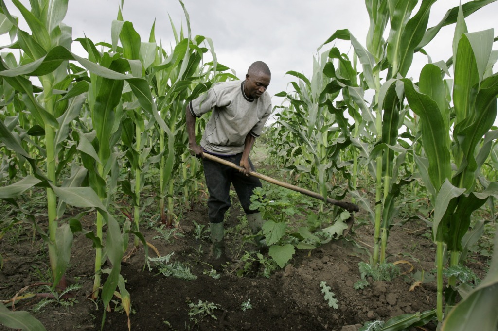 IN PHOTOS: Farmers around the world share their stories - Alliance for ...