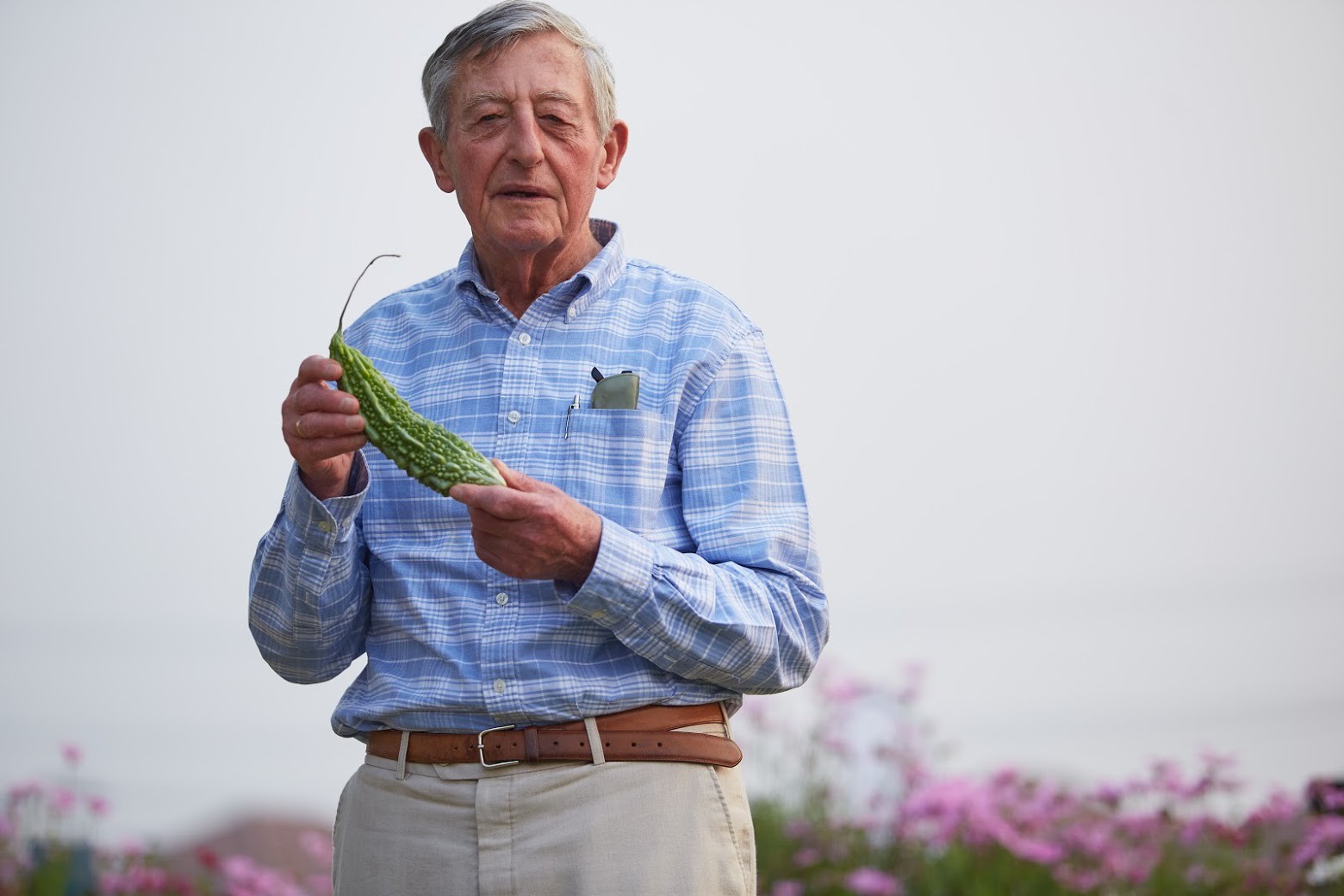 Dutch seed developer wins 2019 World Food Prize - Alliance for Science