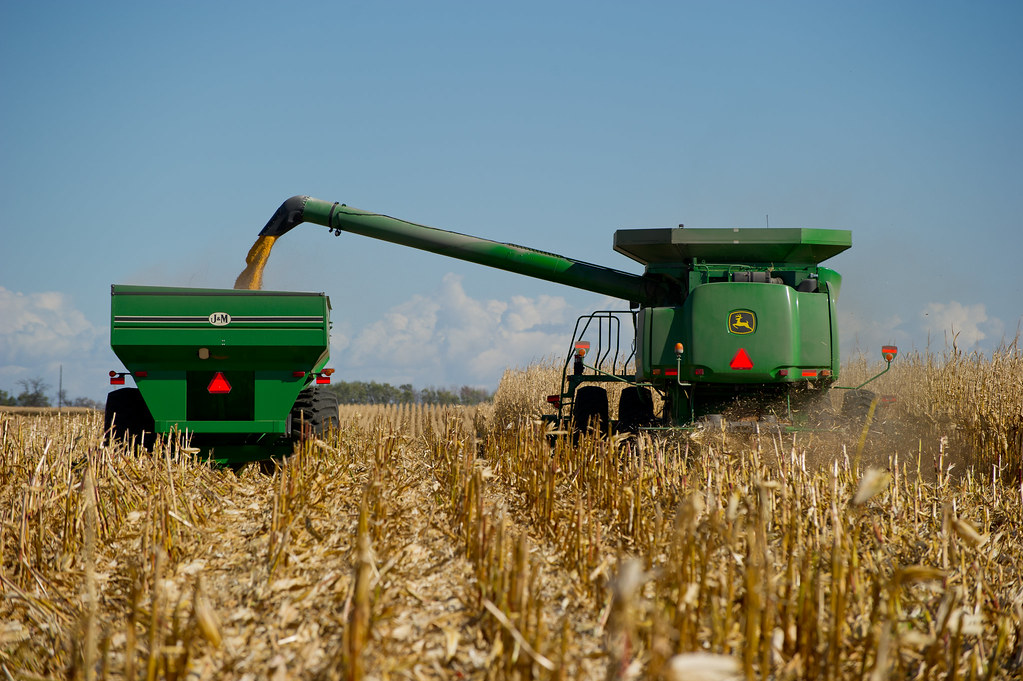 New approach to genetically modifying corn boosts yields 10 percent ...
