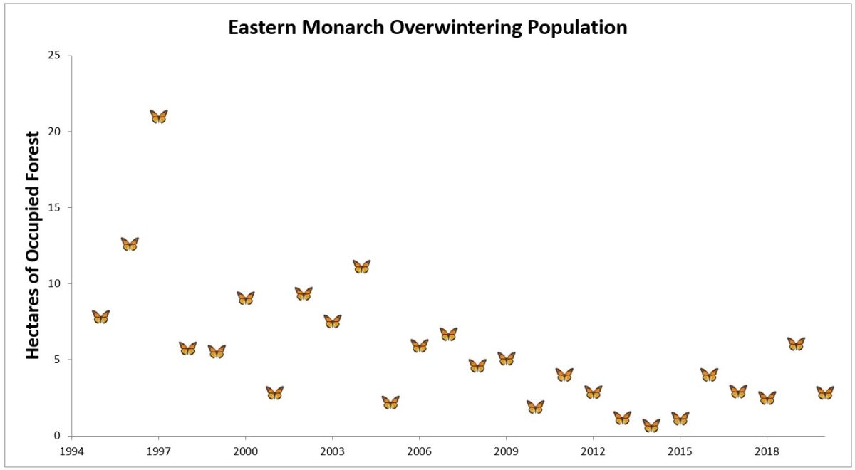 Herbicide blamed for monarch butterfly population decline - Alliance ...