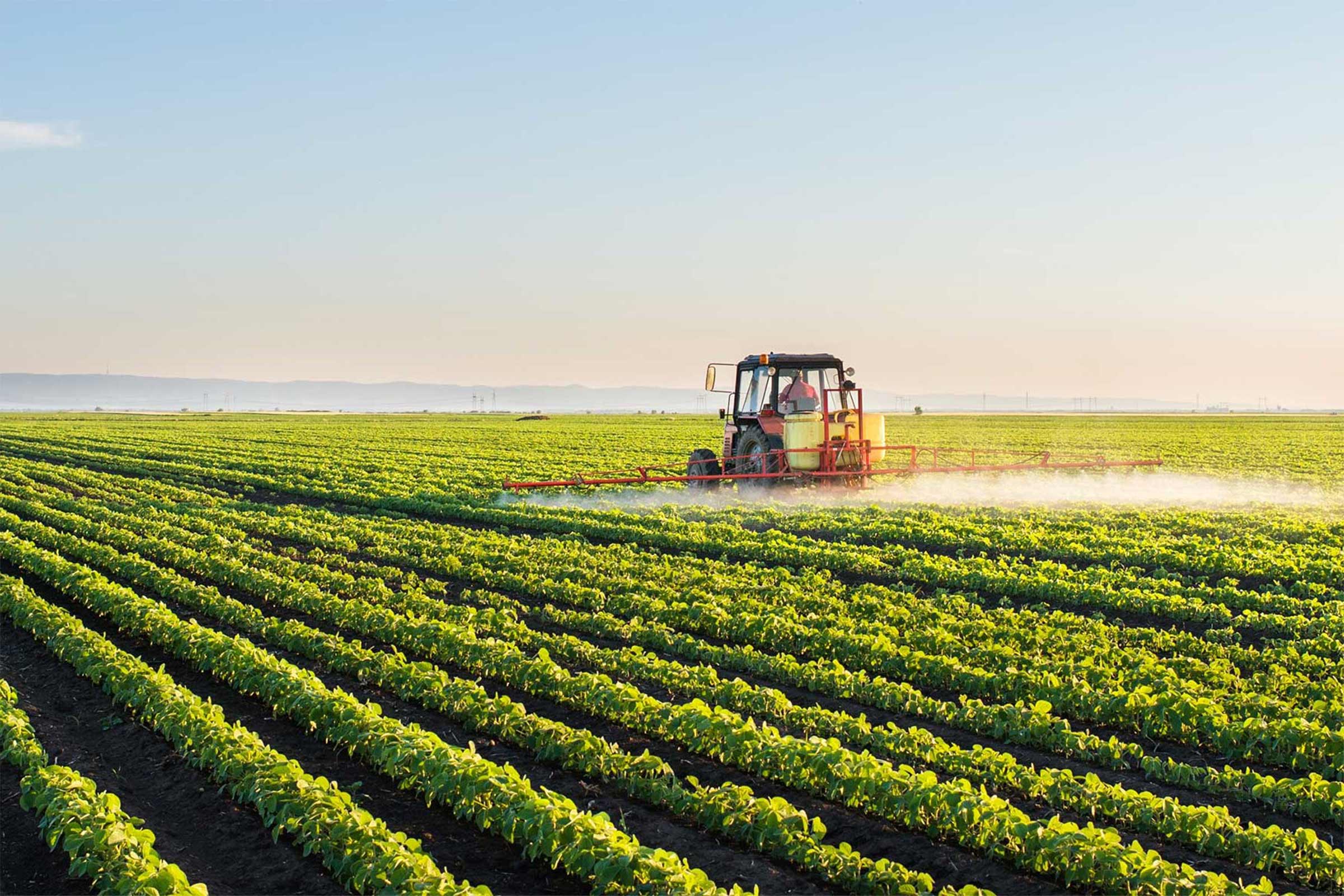 Do GMO crops increase the use of pesticides? - Alliance for Science
