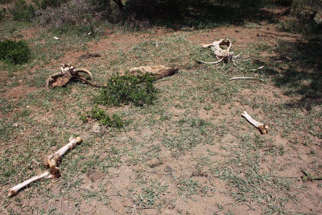 Africa struggles to improve climate change literacy as its effects ...