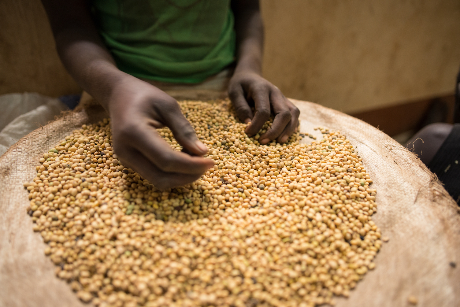 Better seeds and biotechnology can boost Africa's crop productivity ...