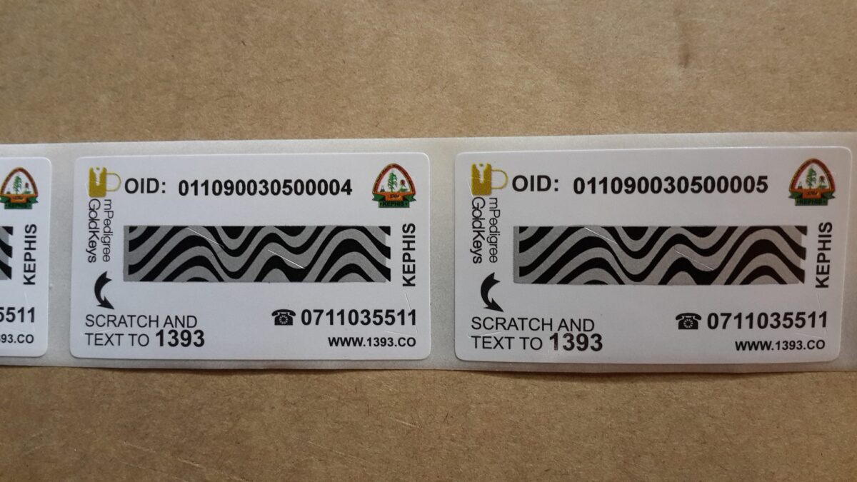 Information technology transforms the way Kenyan farmers manage crops ...