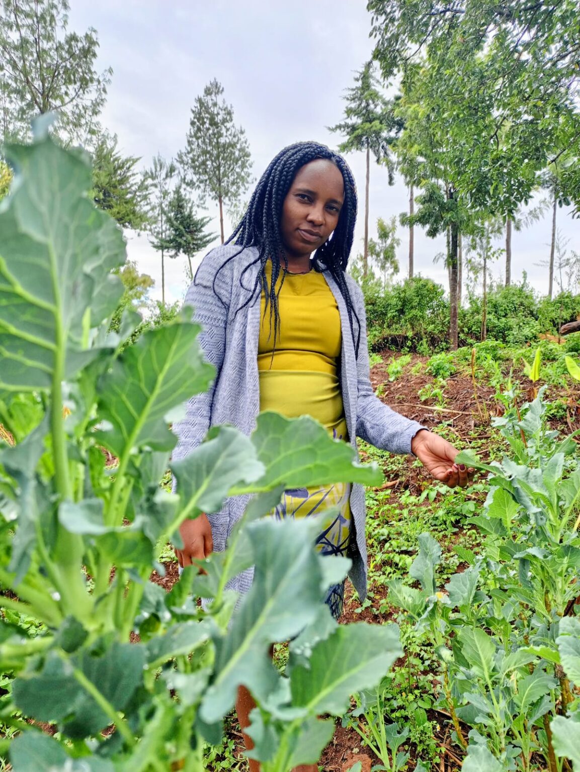 Kenya: Community institute helps smallholder farmers adopt climate ...