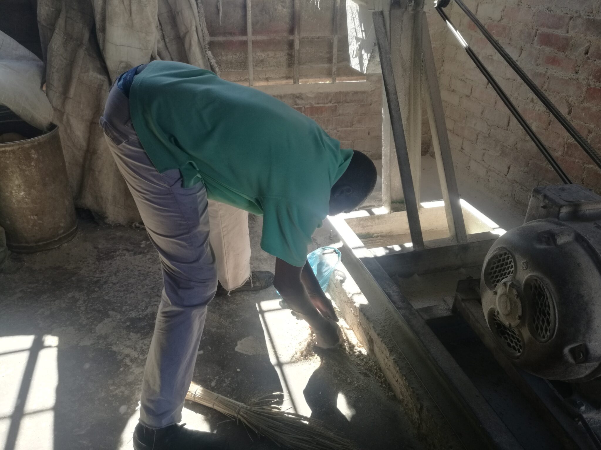 Urban farming takes root in Zimbabwe as city dwellers seek to improve ...