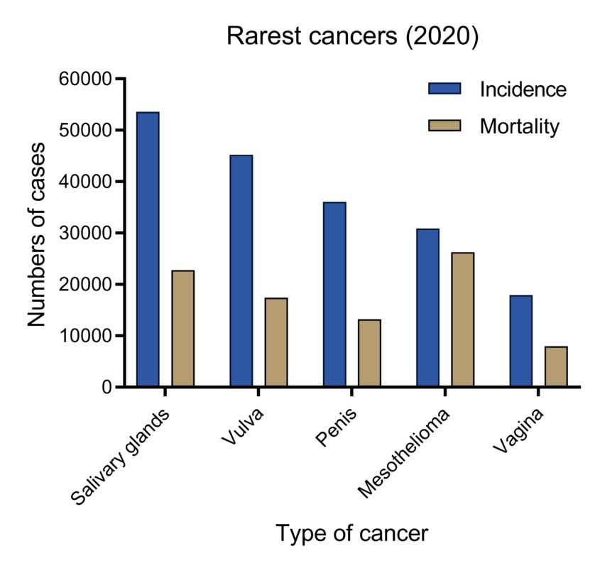 Innovative therapy offers hope to patients with the rare but deadly ...